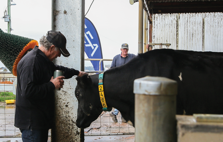 PowerPlus Energy - Energy Storage Solutions